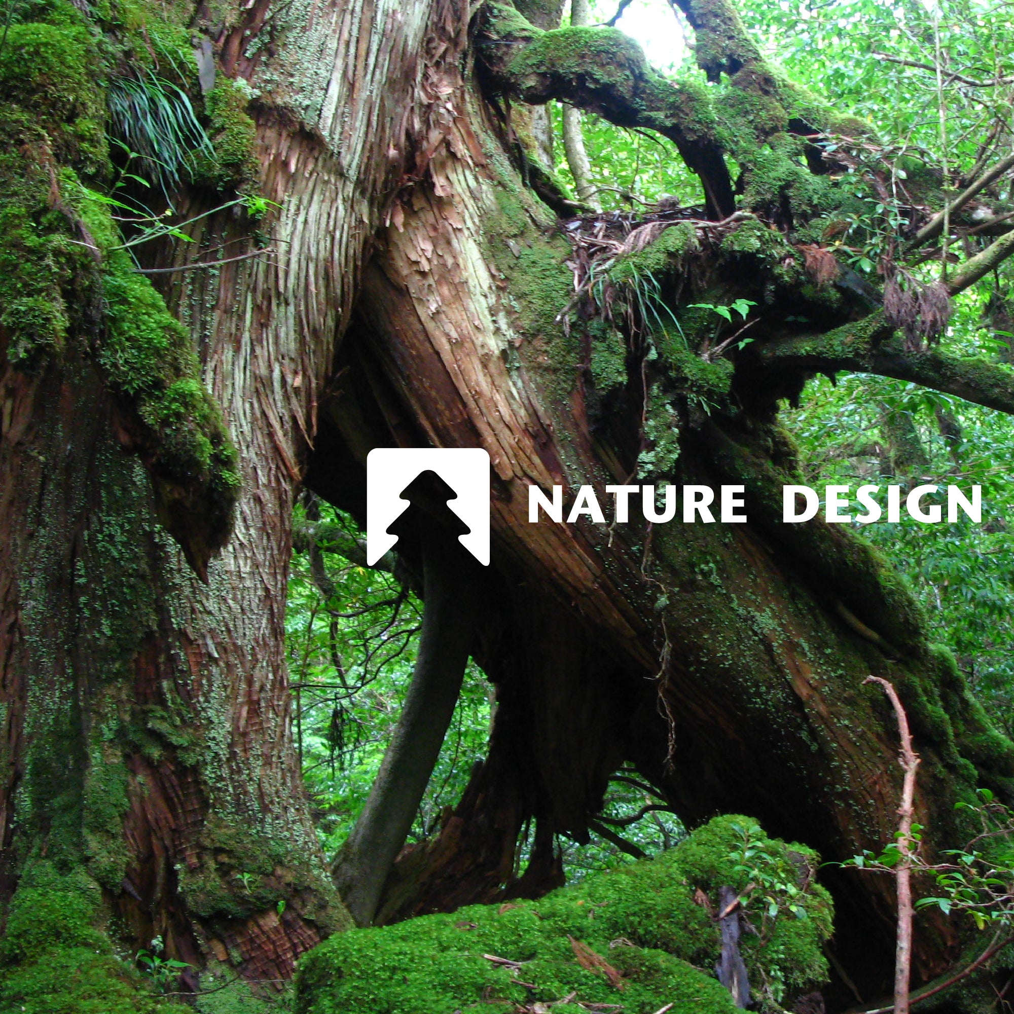 NATUREDESIGN